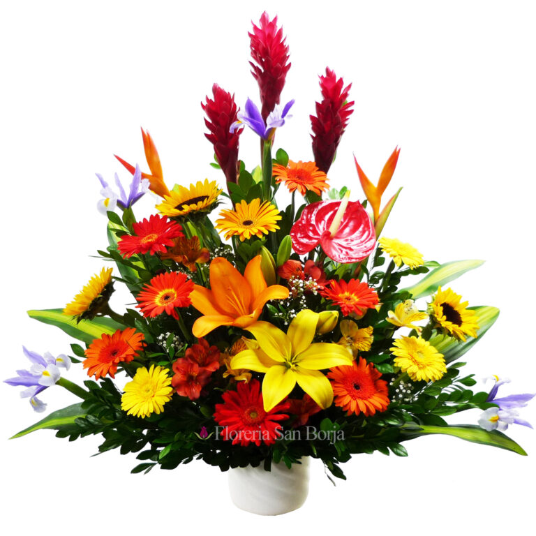 Florerias en Lima - Florerias Peru | Floreria San Borja