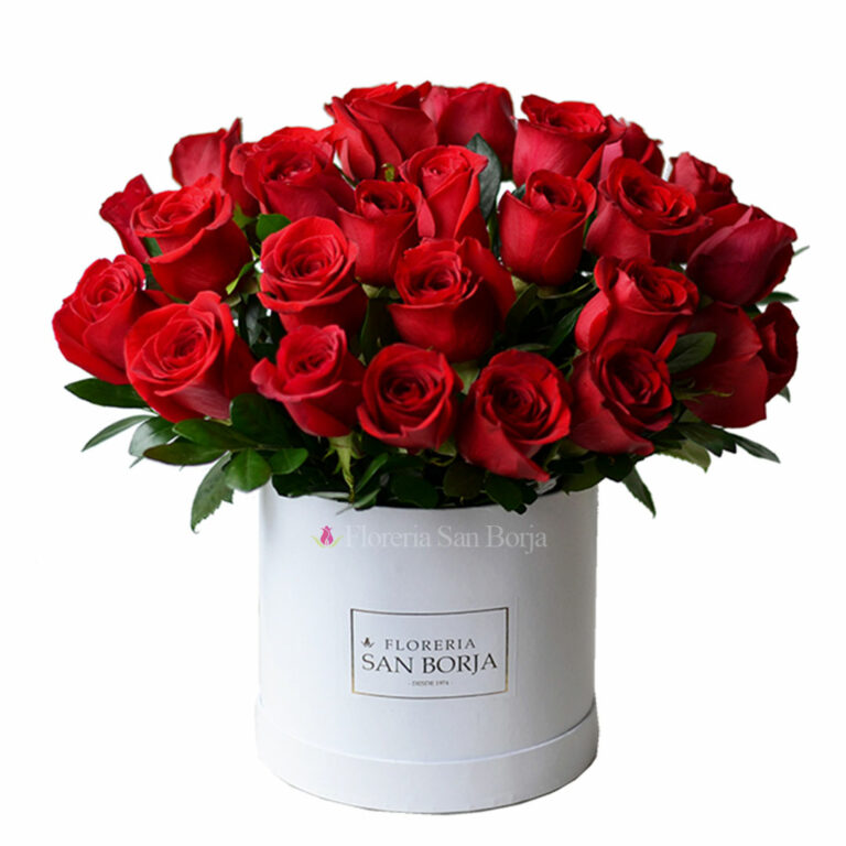 Box cilíndrico con 24 rosas rojas | Floreria San Borja