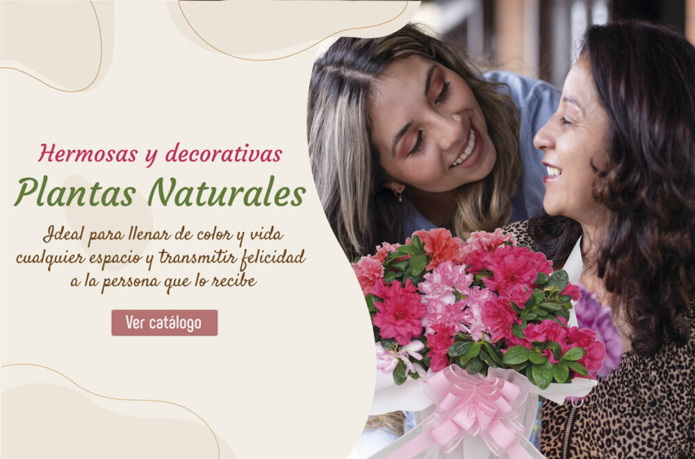 Florerias en Lima - Florerias Peru | Floreria San Borja