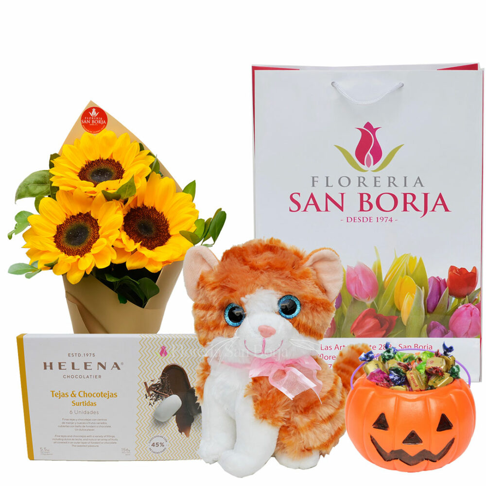 Pack de Halloween Gatita Lulu | Floreria San Borja